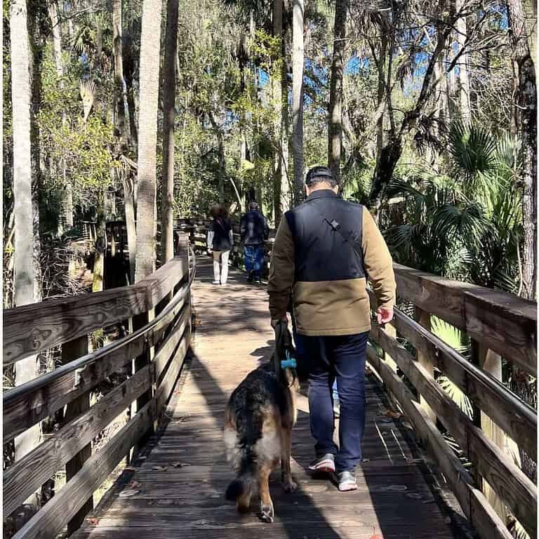 Discover the 14 Best Things to Do with Kids at Blue Spring State Park ...