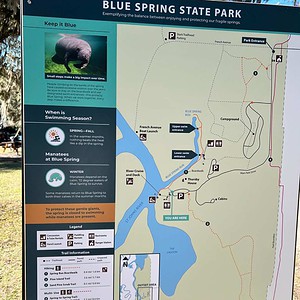 Discover the 14 Best Things to Do with Kids at Blue Spring State Park ...