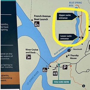 Discover the 14 Best Things to Do with Kids at Blue Spring State Park ...