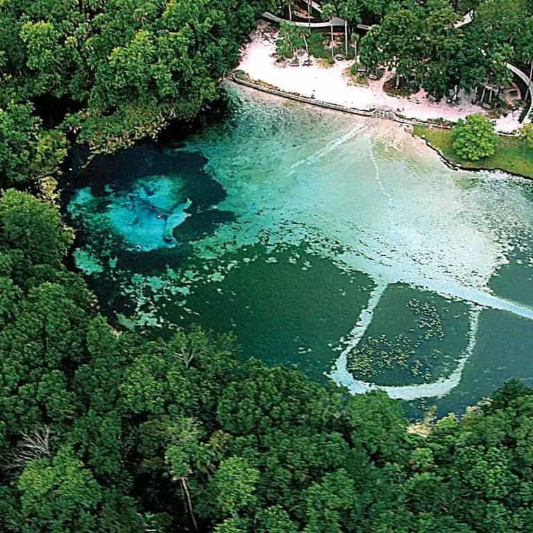 12 Must-Know Tips for Visiting Alexander Springs – Walk and Paddle