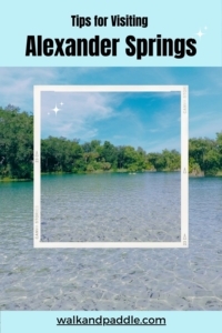 12 Must-Know Tips for Visiting Alexander Springs – Walk and Paddle