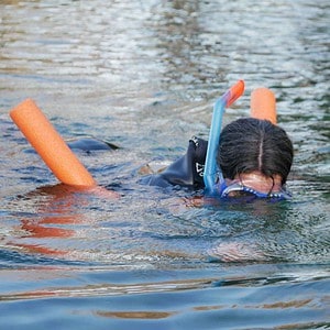 Your Ultimate Guide to Swimming with Manatees in Florida! – Walk and Paddle
