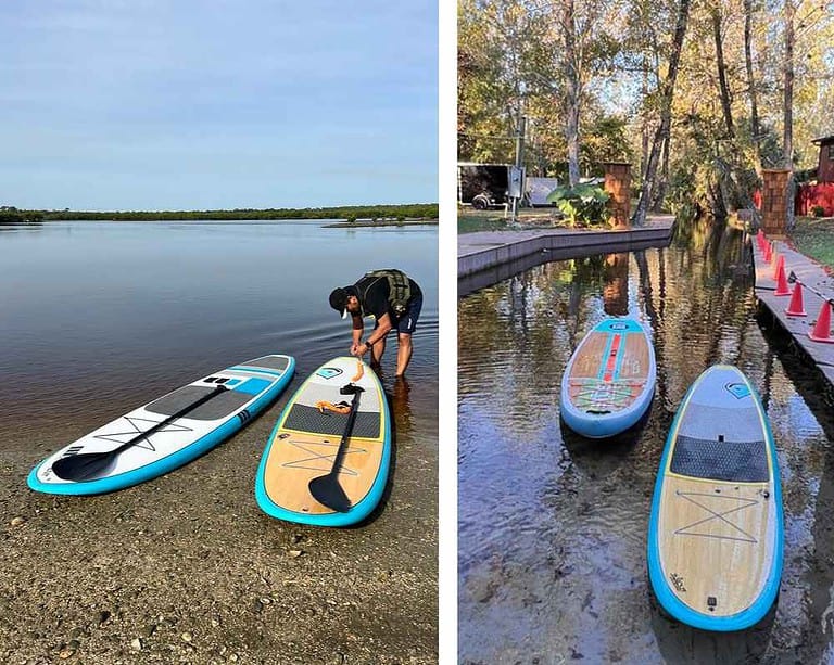 Essential Gear to Jumpstart Your Paddleboarding Journey – Walk and Paddle