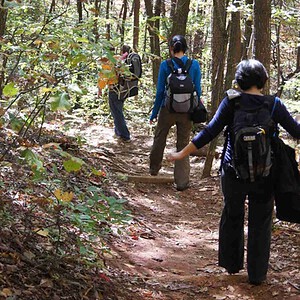 Hiking Essentials: Your Guide to the Must-Have Gear for a Successful ...