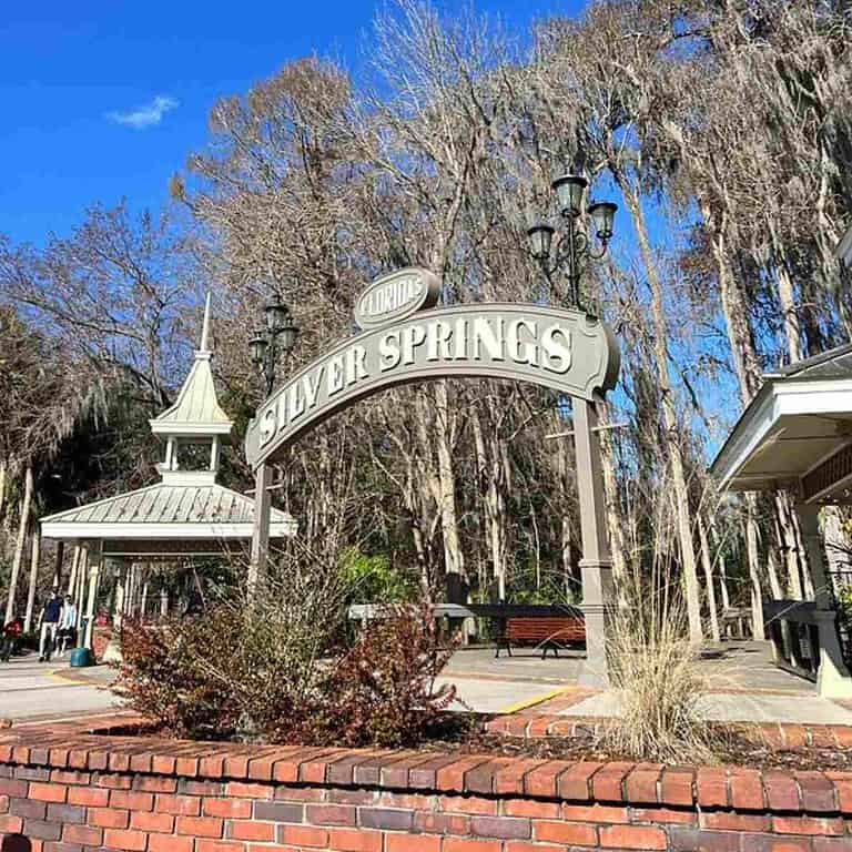 Silver Springs State Park: Must-Know Tips for Your Next Visit – Walk ...