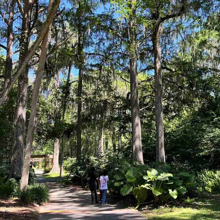 Silver Springs State Park: Must-Know Tips for Your Next Visit – Walk ...