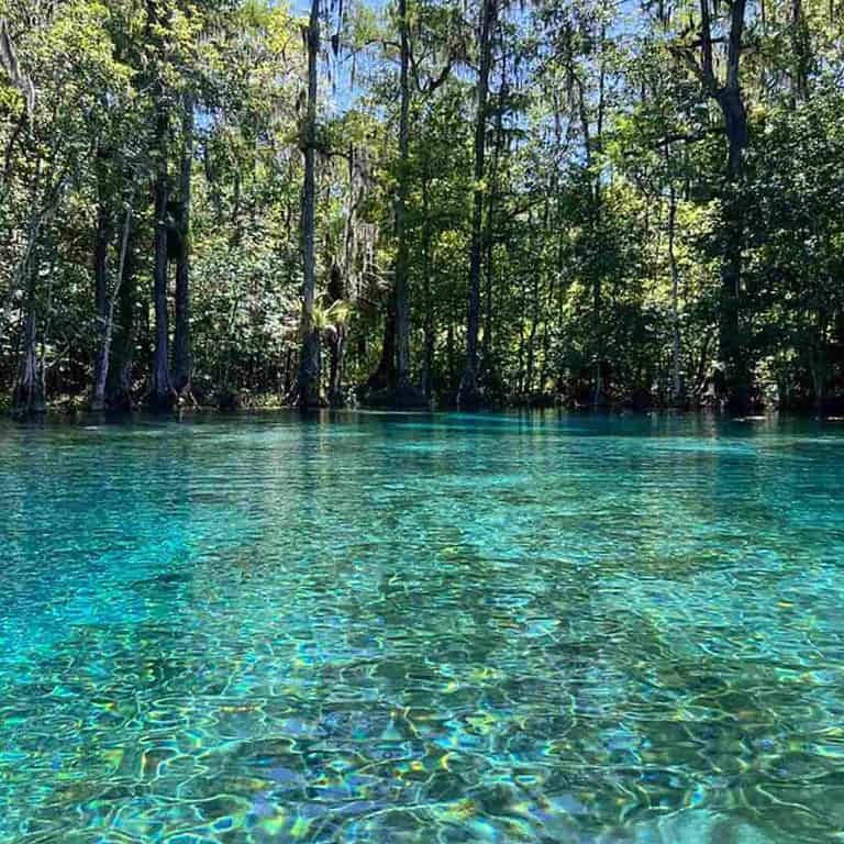 Silver Springs State Park: Must-Know Tips for Your Next Visit – Walk ...