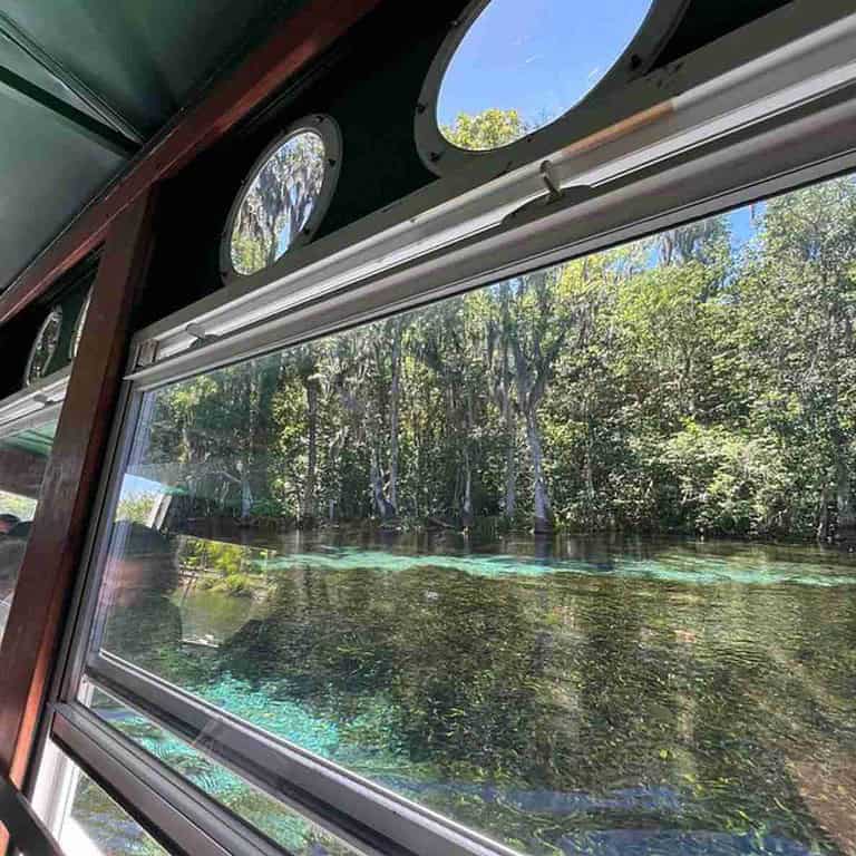Silver Springs State Park: Must-Know Tips for Your Next Visit – Walk ...