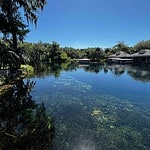 Silver Springs State Park: Must-Know Tips for Your Next Visit – Walk ...