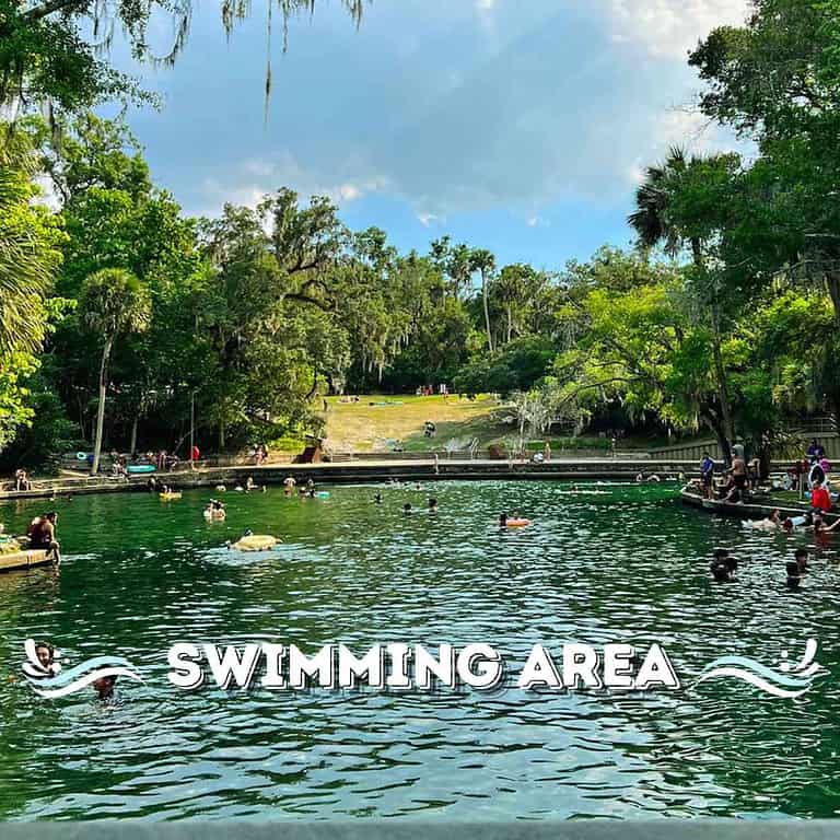 Everything You Need to Know For a Fun Visit at Wekiwa Springs State ...