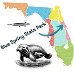 Winter at Blue Spring State Park: Top Tips & Things to Do – Walk and Paddle