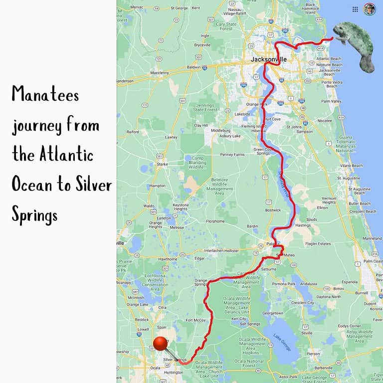 Why Winter is the Best Time to Visit Silver Springs State Park – Walk ...