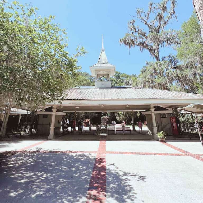 Why Winter is the Best Time to Visit Silver Springs State Park – Walk ...