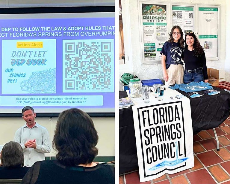 Everything You Need to Know about Visiting Florida Springs – Walk and ...