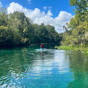 Everything You Need to Know about Visiting Florida Springs – Walk and ...