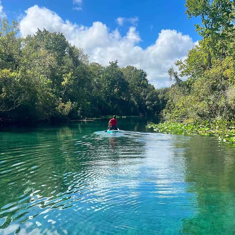 Everything You Need to Know about Visiting Florida Springs – Walk and ...