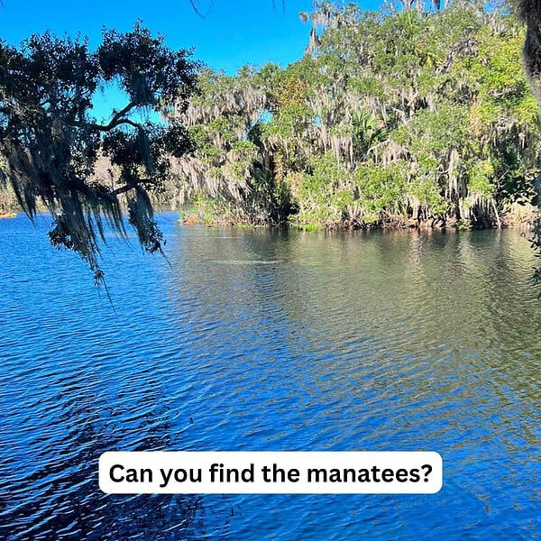 The Florida Manatee: A Guide for Visitors – Walk and Paddle