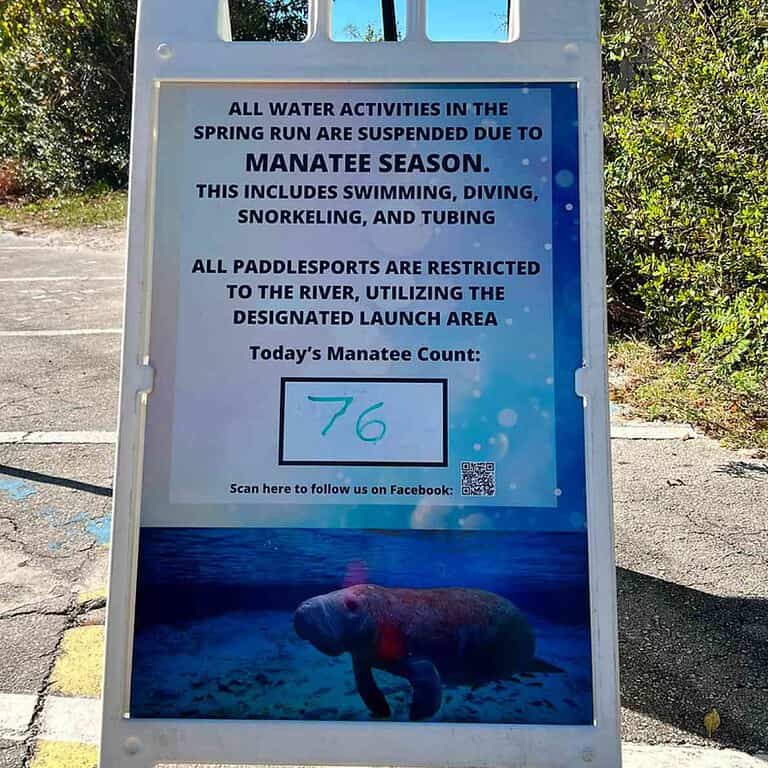 The Florida Manatee: A Guide for Visitors – Walk and Paddle