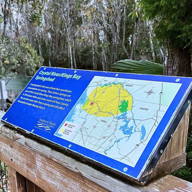 Three Sisters Springs: Must-Know Tips for Your Visit – Walk and Paddle