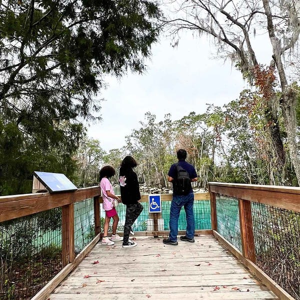 Three Sisters Springs: Must-Know Tips for Your Visit – Walk and Paddle