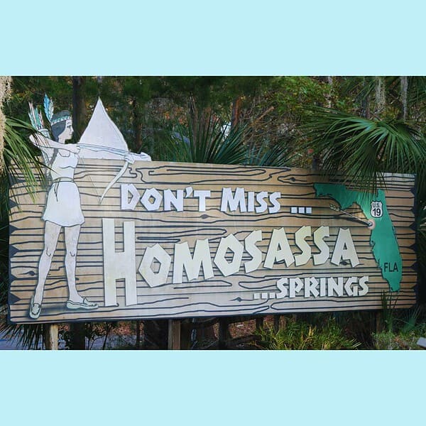 Planning a Trip to Homosassa Springs Wildlife State Park? Here’s What ...