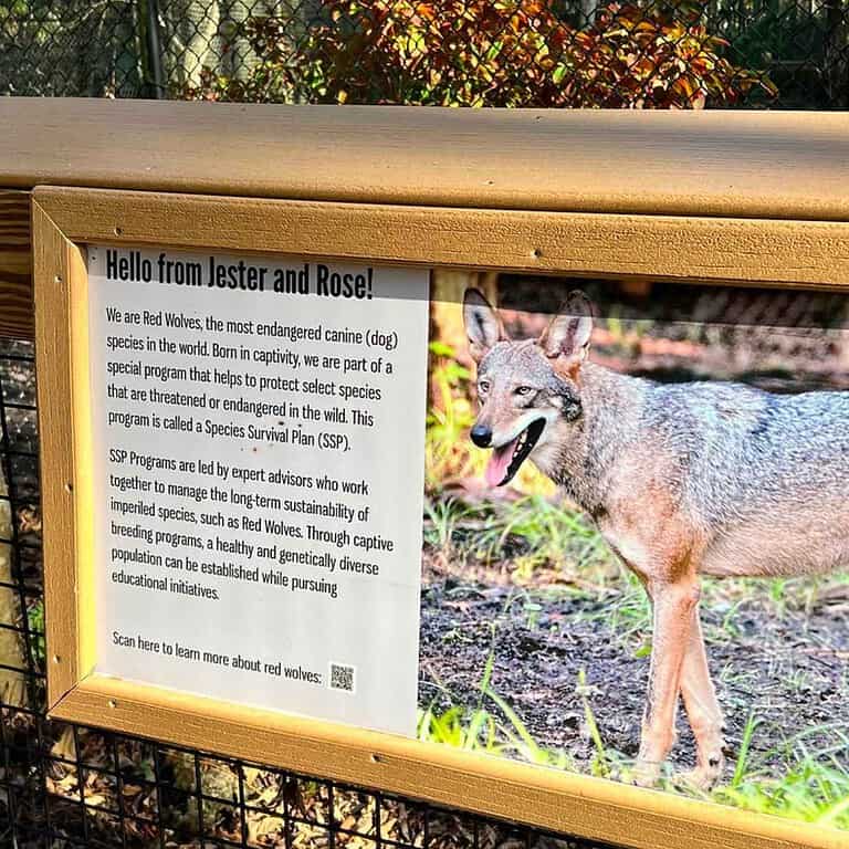 Planning a Trip to Homosassa Springs Wildlife State Park? Here’s What ...