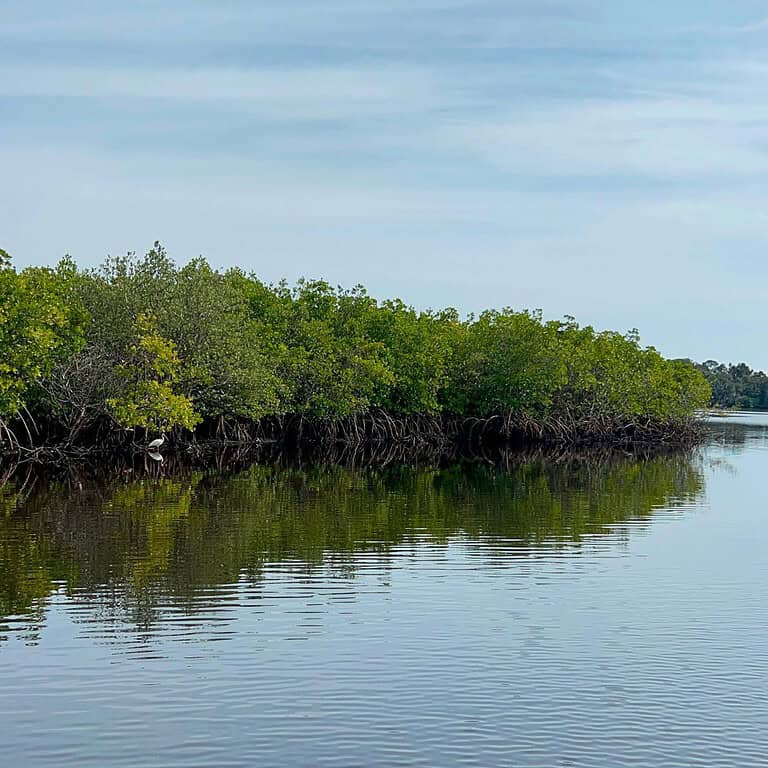 Paddling Doris Leeper Spruce Creek Preserve – Walk and Paddle