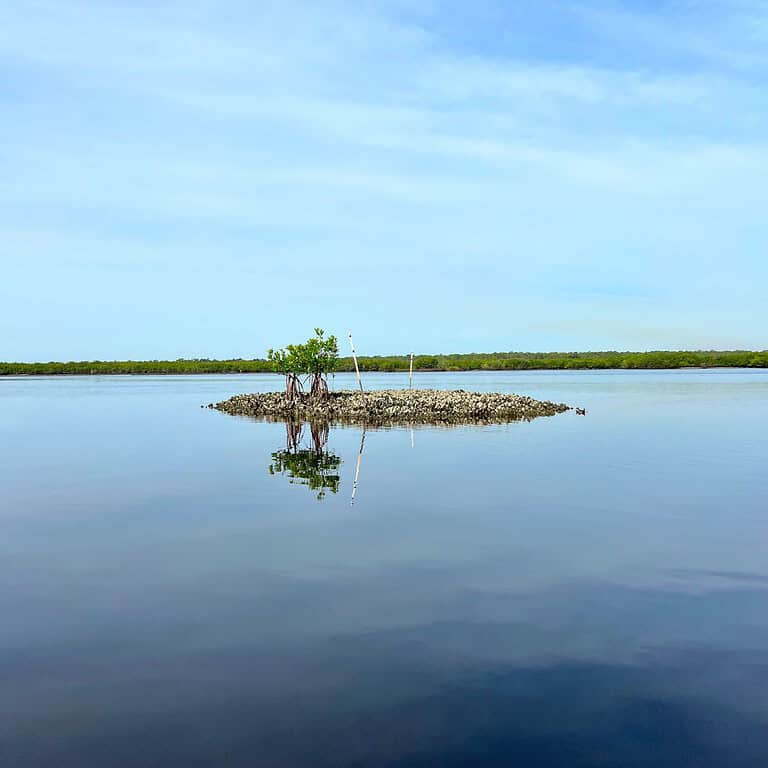 Paddling Doris Leeper Spruce Creek Preserve – Walk and Paddle