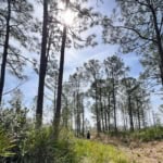 Guide to Visiting Rock Springs Run State Reserve – Walk and Paddle