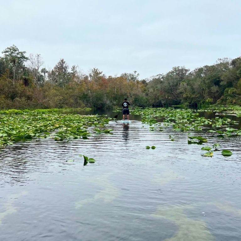 Paddling Alexander Springs – Tips and Routes – Walk and Paddle
